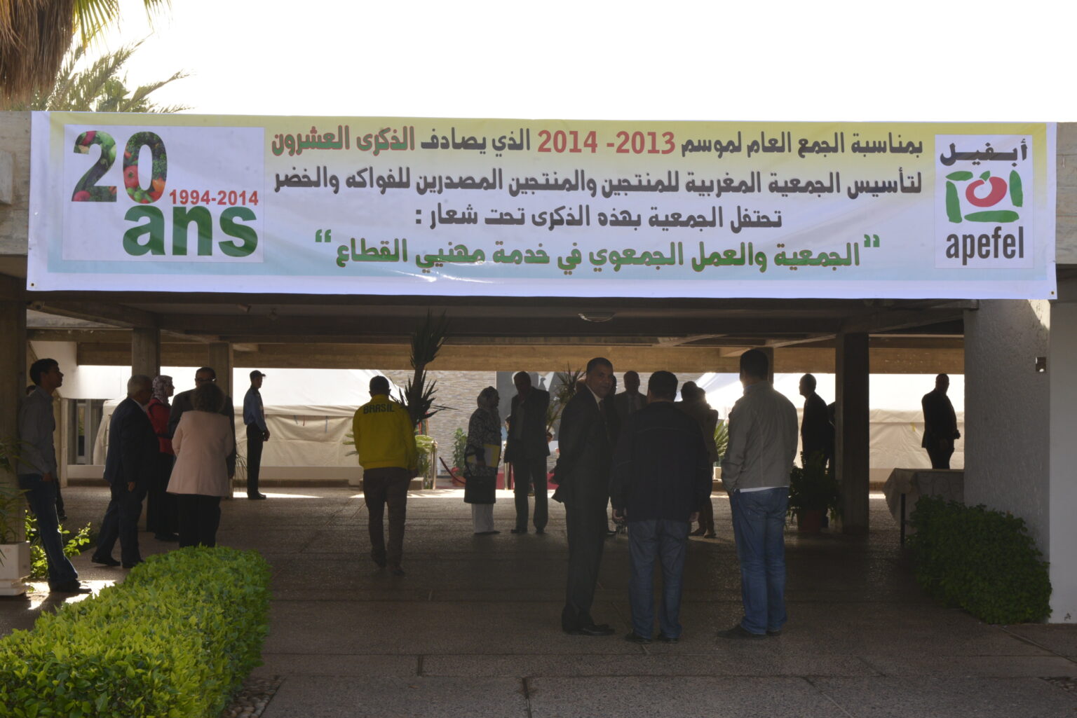 Apefel – Association Marocaine des Producteurs et Producteurs ...